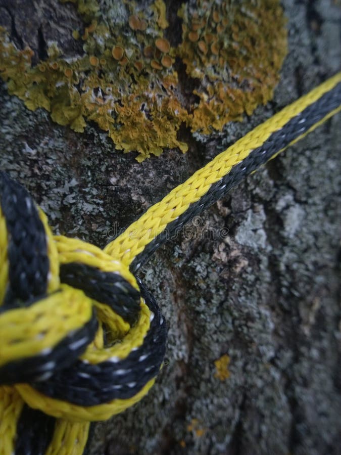 Rope Macro stock image. Image of brown, nature, relaxation - 124763499