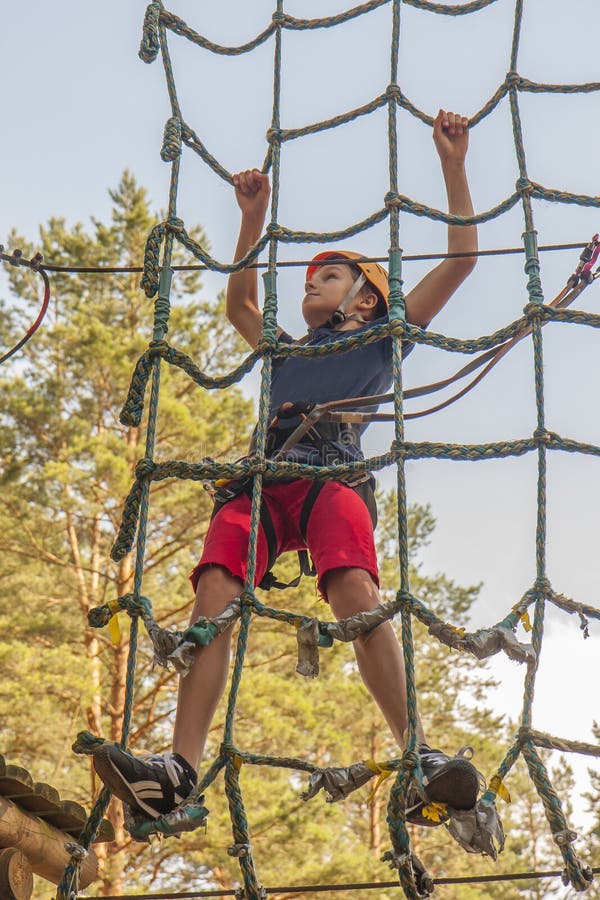 Rope park stock photo. Image of ladder, tree, cord, ascent - 63703320