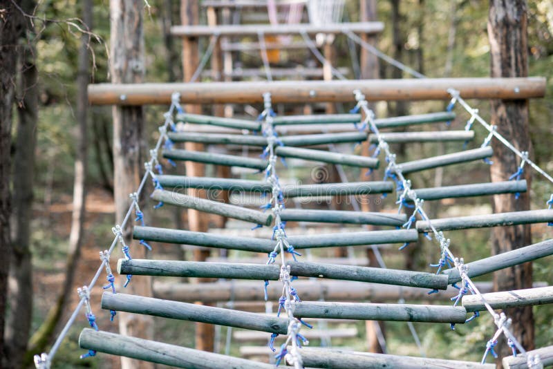Rope park in the forest stock photo. Image of ropes - 203249392