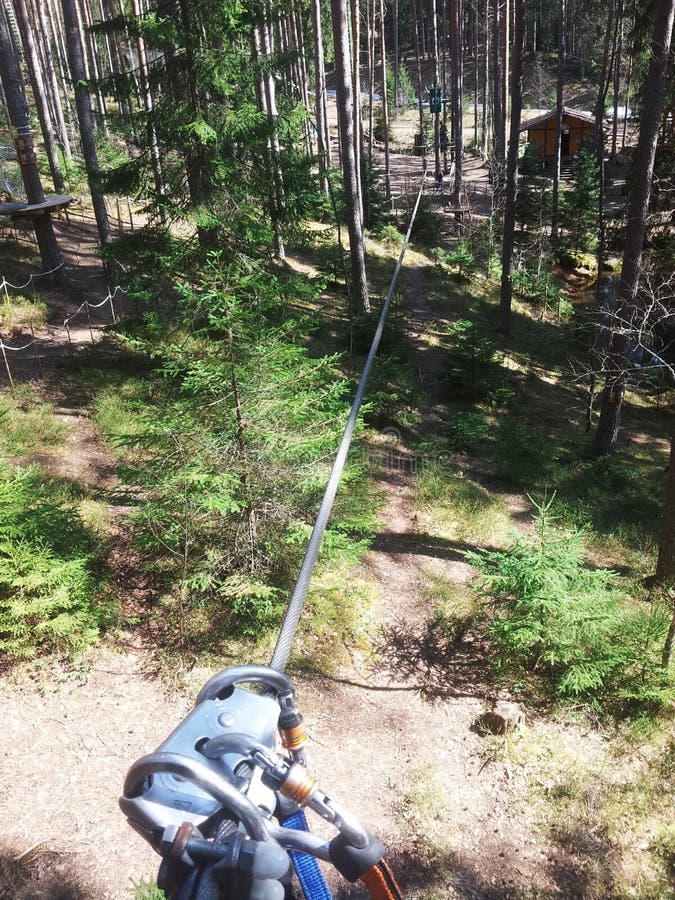 Rope Park in a Pine Forest. Rope Track for Passage at Height Stock ...