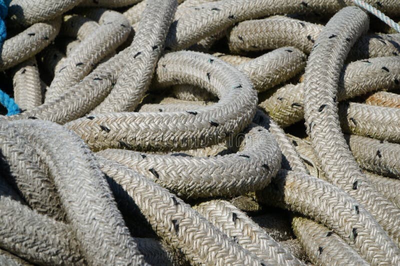 Rope, Rattlesnake, Scaled Reptile, Snake Stock Photo - Image of ...