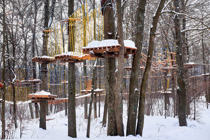 Rope Ride in the Park. Platforms and Ropes between Trees Stock Photo ...