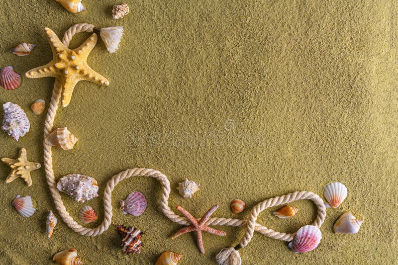 Rope and Sea Shells and Stars. Stock Image - Image of starfish, board ...