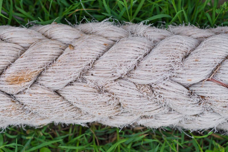 Rope stock photo. Image of grass, rusty, surface, lenght - 31679216