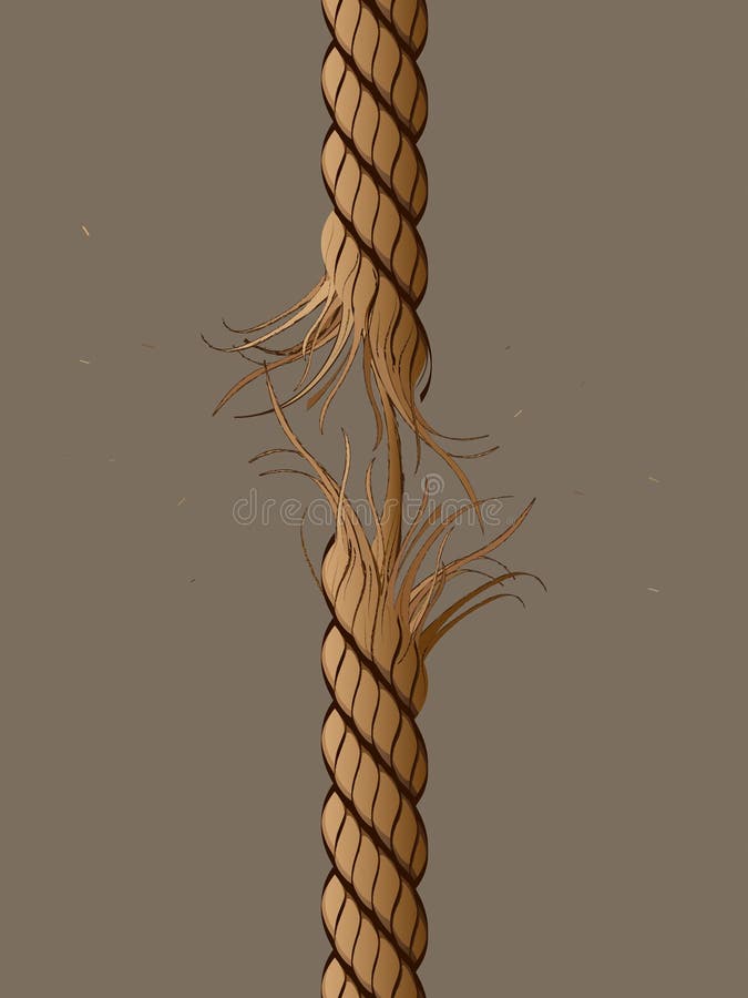 Rope Set 2 stock vector. Illustration of path, cordage - 15231019