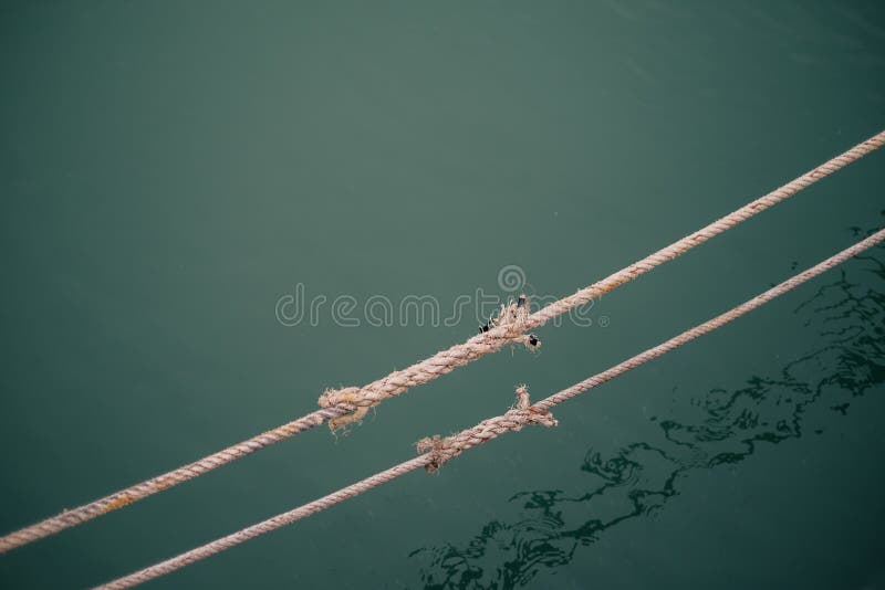 Rope and shadow on the sea stock photo. Image of wild - 173922998