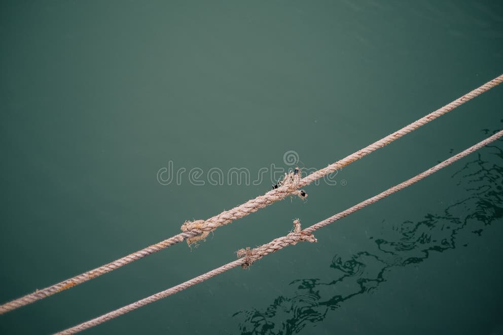 Rope and shadow on the sea stock photo. Image of wild - 173922998
