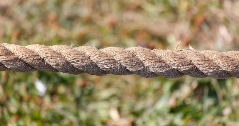A Rope is Shown in a Field with Grass Stock Photo - Image of cord ...