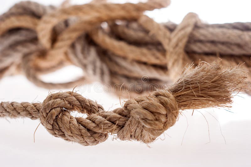 Rope of Sisal Plant, Agave Sisalana, Plantation at Fort Dauphin in ...