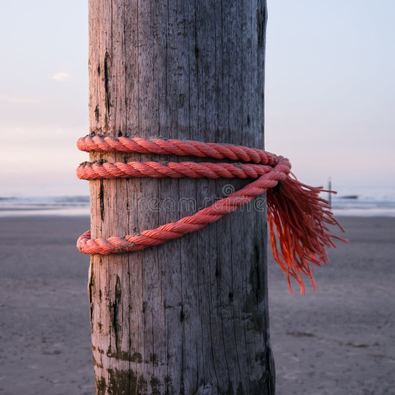 Rope on stake stock photo. Image of flat, trunk, tourism - 36882330