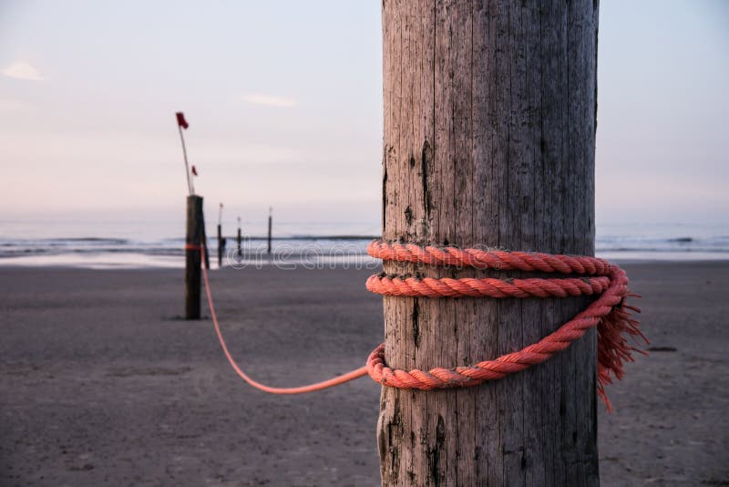 Rope on stake stock photo. Image of flat, trunk, tourism - 36882330
