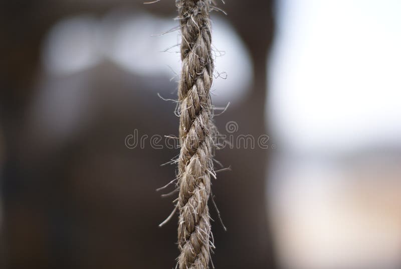 Rope stock image. Image of still, closeup, string, outdoors - 82425845