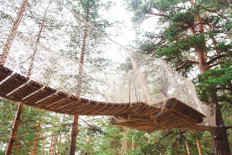 Rope Suspension Bridge on a Tree in the Forest Stock Photo - Image of ...
