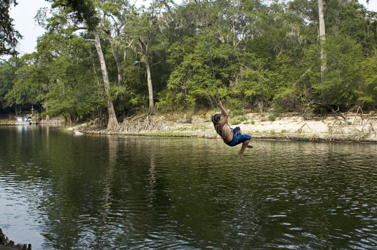 Rope Swing 1 stock photo. Image of wilderness, relaxed - 934766