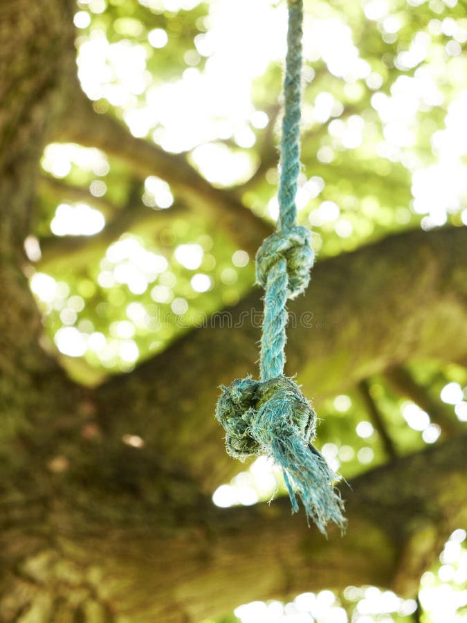 Rope swing stock photo. Image of tree, branches, childrens - 32294590