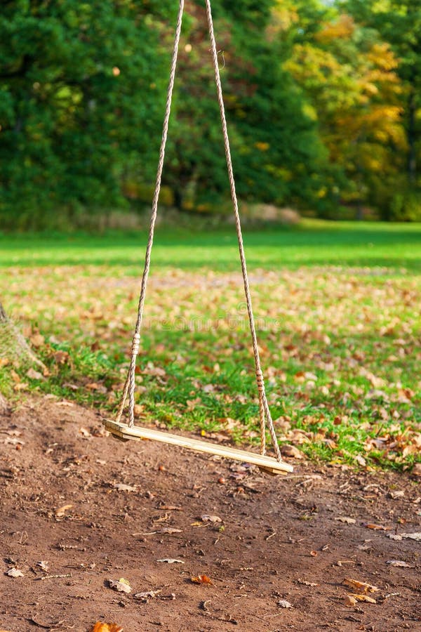 Rope swing in a park stock photo. Image of tree, rope - 255668320