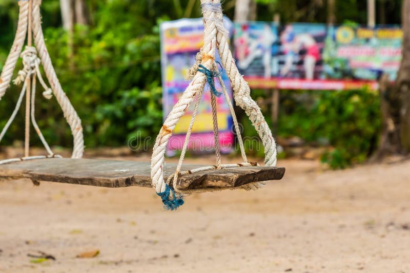 Rope Swing Suspended on a Tree Branch Background Rest Sandy Ground ...