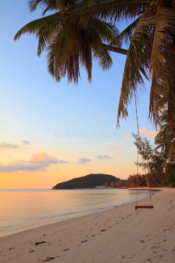 Rope Swing on Tropical Beach Stock Photo - Image of beach, sunset: 86228004