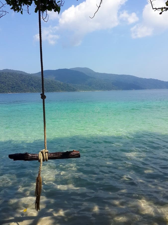 Rope swing stock photo. Image of scenery, marine, rest - 61905648