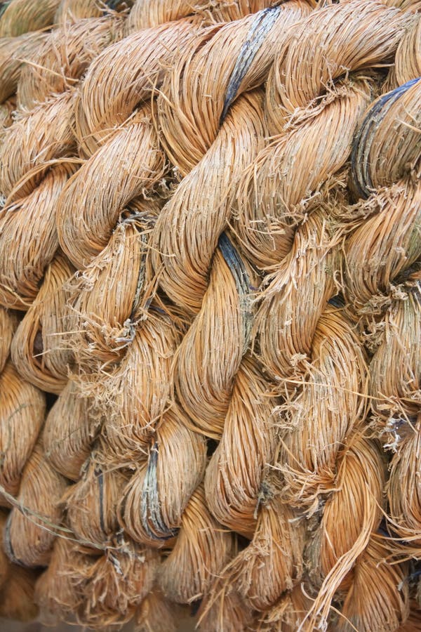 Hemp Rope Seamless stock photo. Image of seamless, pattern - 25378294