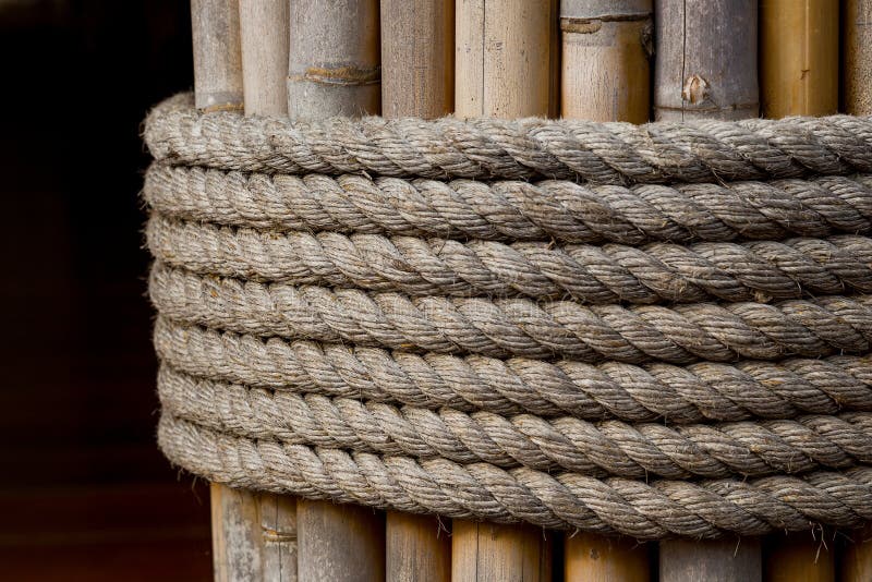 Rope tie on bamboo stock photo. Image of sticks, natural - 47500250