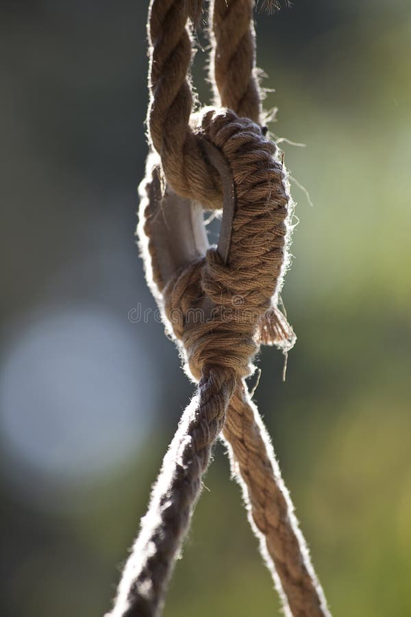 Rope tie stock image. Image of isolated, cord, rope, knots - 87883341