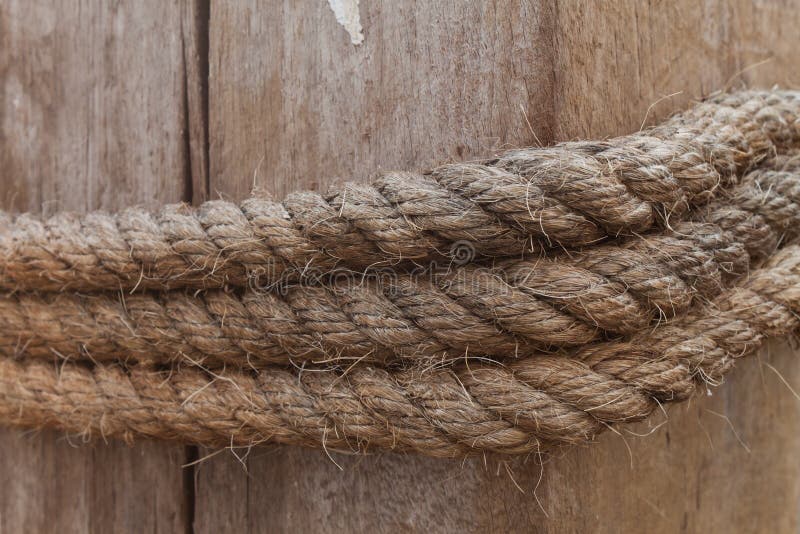 Rope tied. stock image. Image of knot, oldfashioned, nail - 26428037