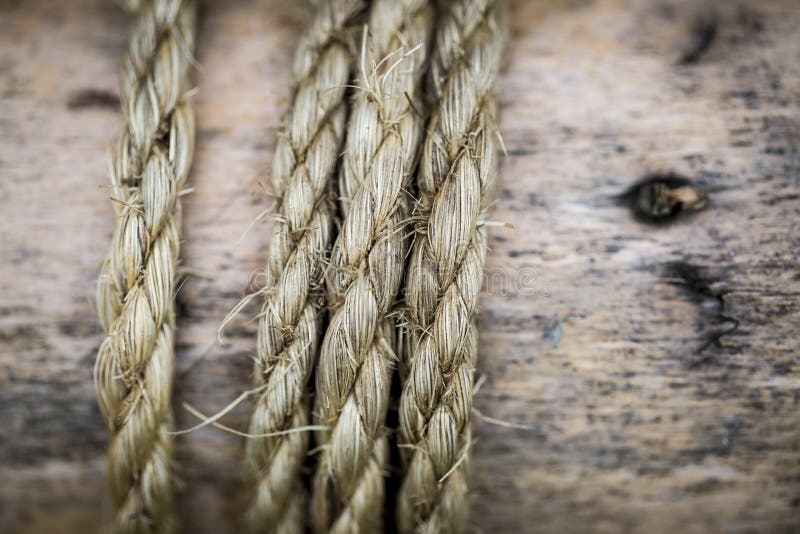 Rope tied around wood stock photo. Image of rough, knot - 195338772