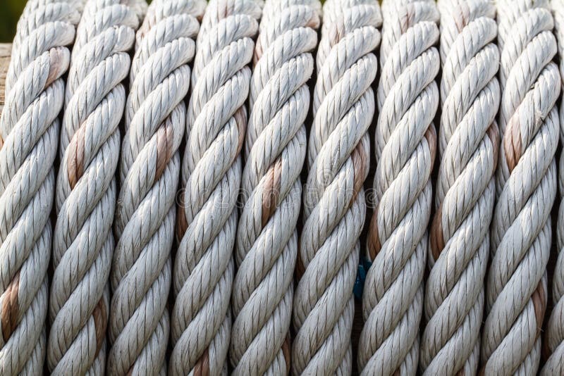 Rope Tied Around a Wooden Log Stock Photo - Image of line, green: 40351764