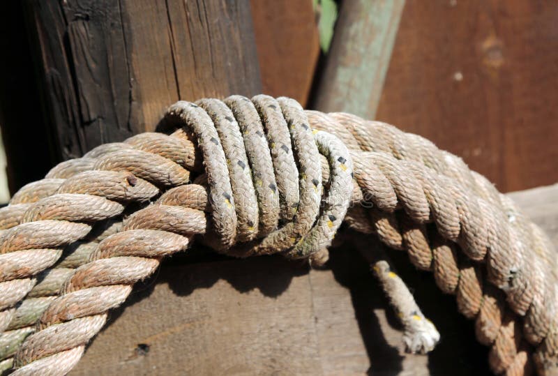 Rope To Tie the Horses on the Farm Stock Image - Image of farm, knot ...