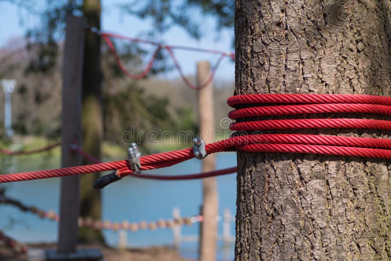 164 Rope Tied Around Tree Stock Photos - Free & Royalty-Free Stock ...