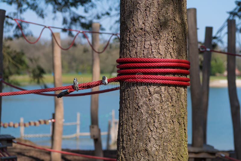 164 Rope Tied Around Tree Stock Photos - Free & Royalty-Free Stock ...