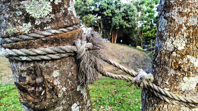 New Stock Photos & Images | The Latest Hi-Res Stock Photography ...