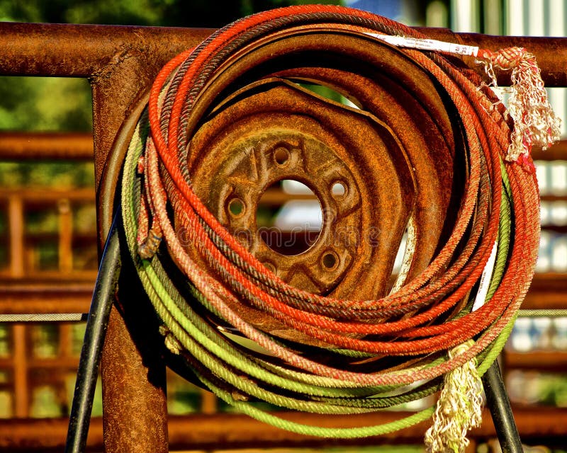 Rope stock image. Image of rodeo, hanging, western, rope - 43344913