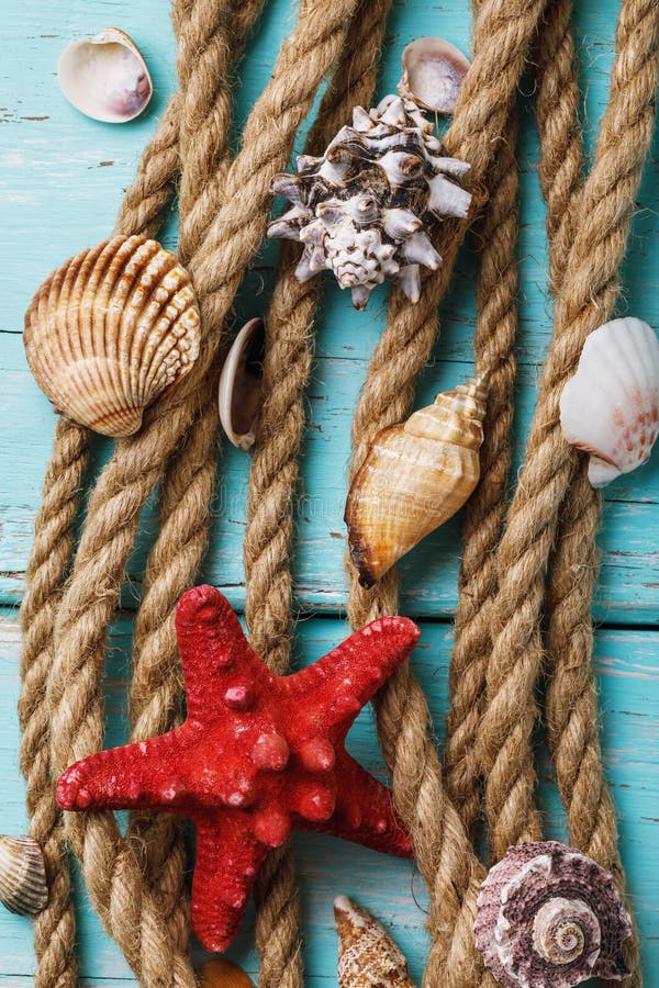 Rope and Various Sea Shells on the Background Stock Photo - Image of ...