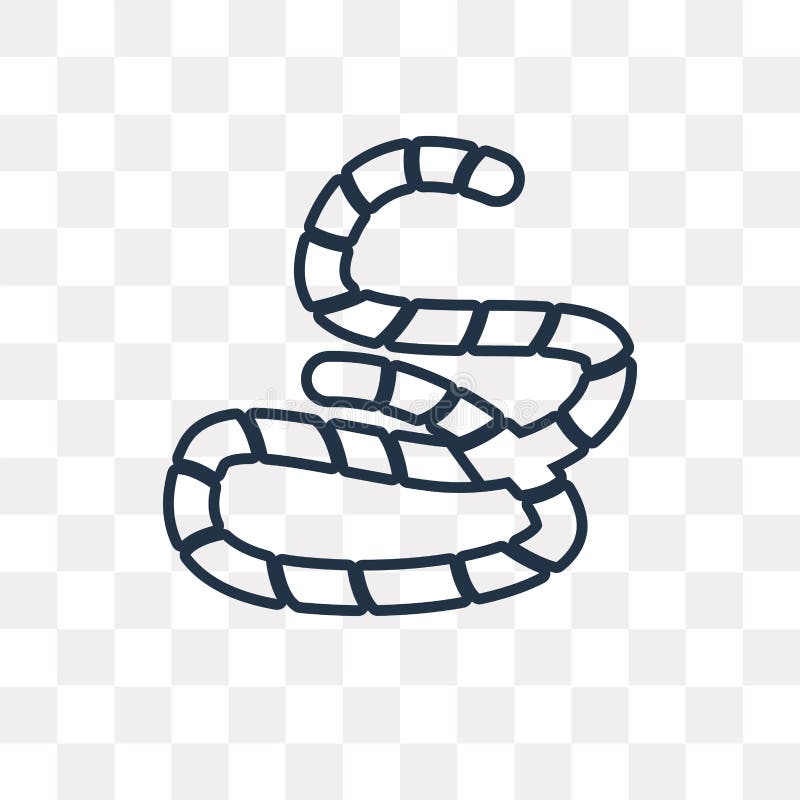 Rope Outline Transparency Stock Illustrations – 121 Rope Outline ...