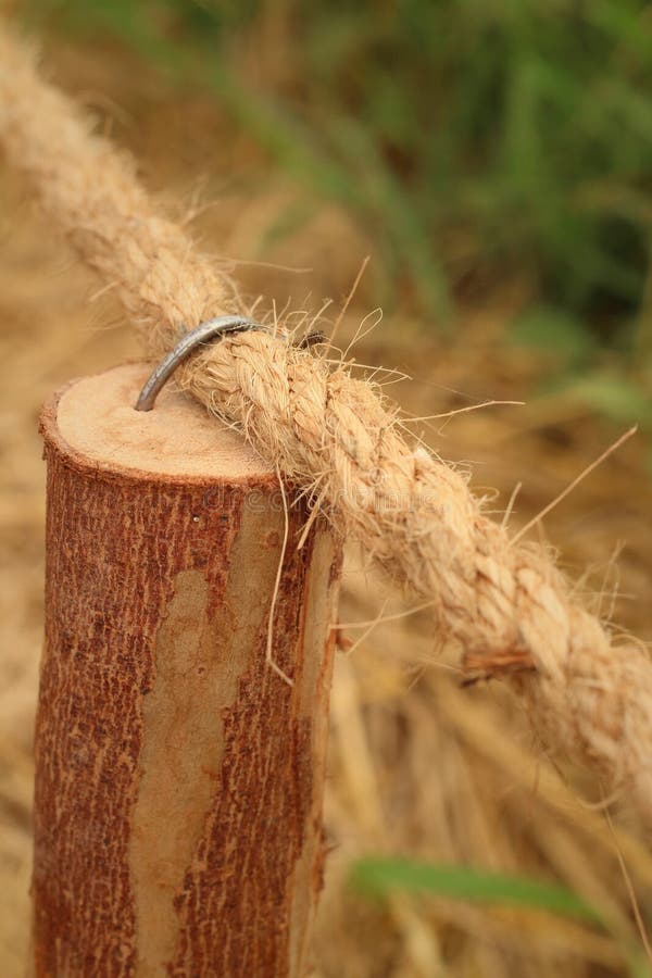 310 Rope Tied To Pole Stock Photos - Free & Royalty-Free Stock Photos ...