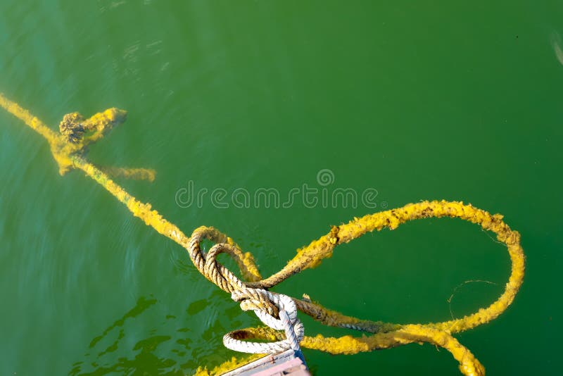 Rope on the Water for Rescue Personnel. Stock Photo - Image of knot ...