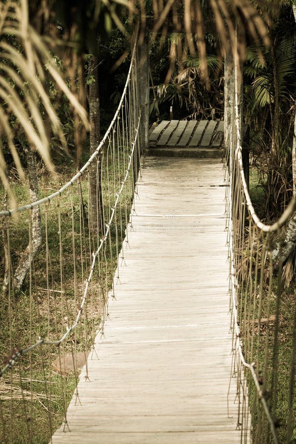 Rope wood bridge stock photo. Image of exploration, structure - 47839836