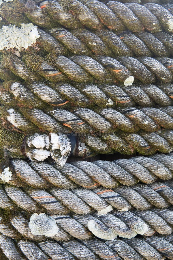 Rope Wrapped Around a Mooring Post. a Tattered Mossy Rope Close-up As a ...
