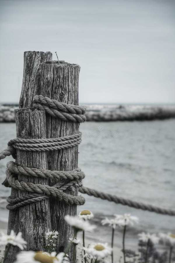 Roped Post stock photo. Image of post, michigan, wood - 50307280