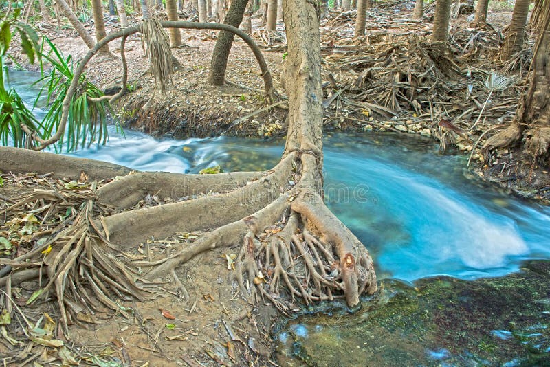 The Roper River at Mataranka Stock Photo - Image of river, roper: 108417684