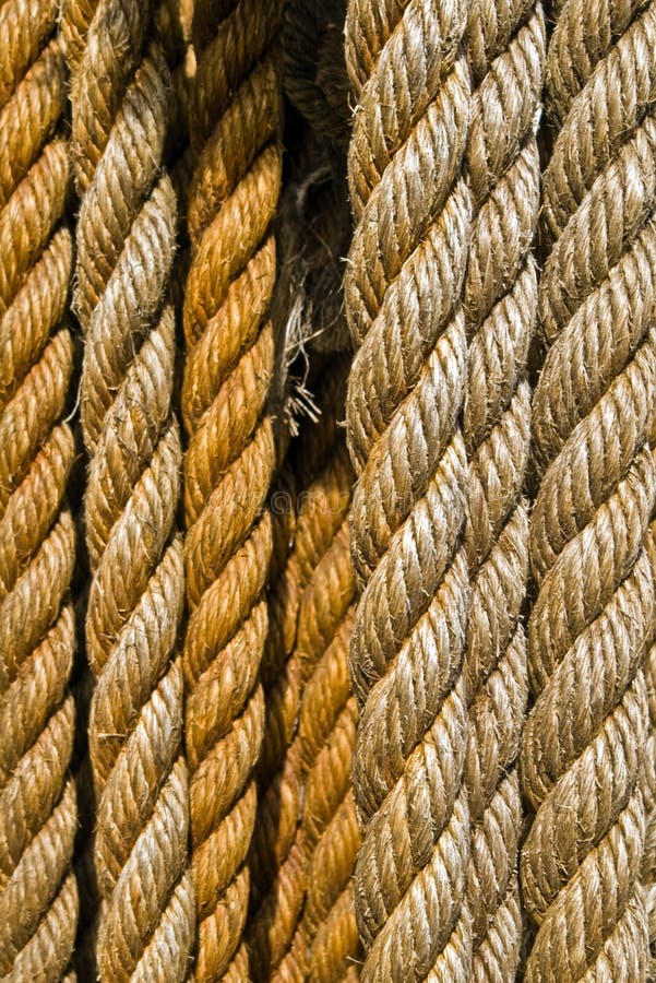 Ropes stock photo. Image of neutral, abstract, simple - 4913964