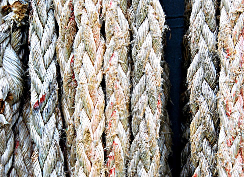 Frayed old ropes stock photo. Image of hangs, strong, long - 7460166