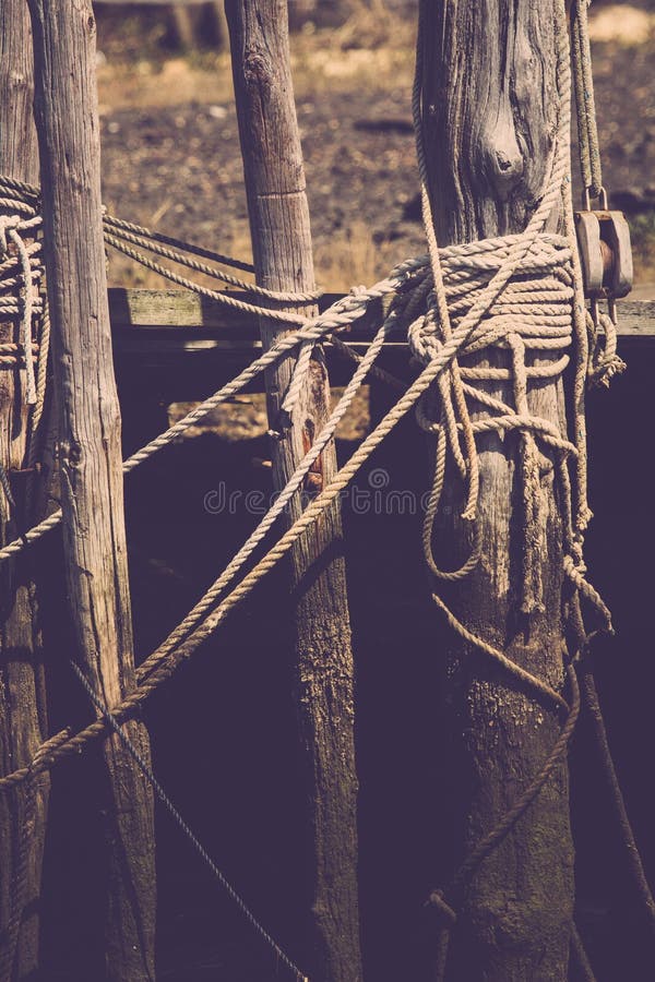 Ropes on Boat Docks stock image. Image of green, nautical - 91568071