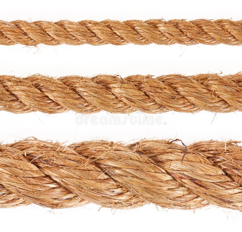 Collection Set of Ropes with Knot Isolated on White Background Stock ...