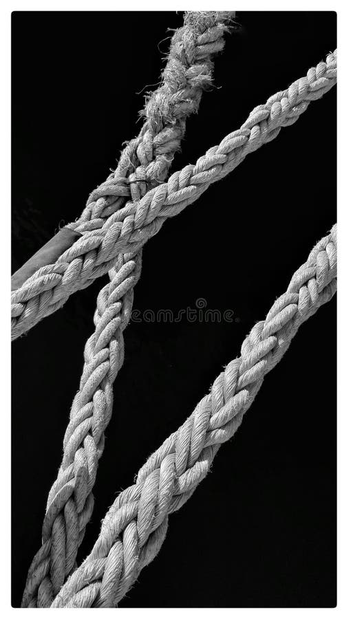 Entangled Ropes stock image. Image of line, industrial - 2198399
