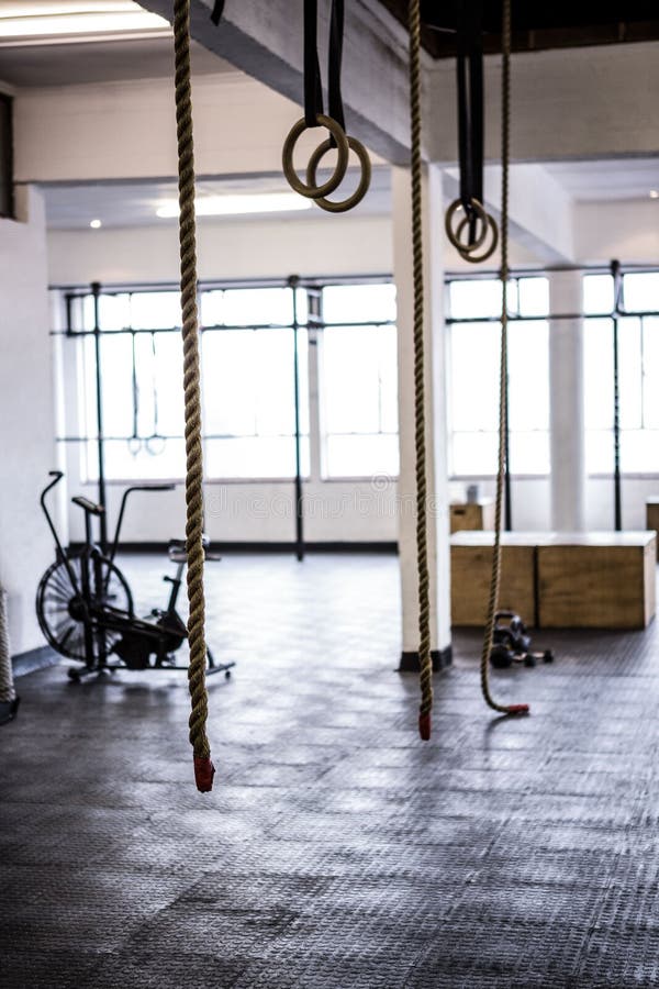 Ropes in fitness studio stock photo. Image of rope, fitness - 255407806