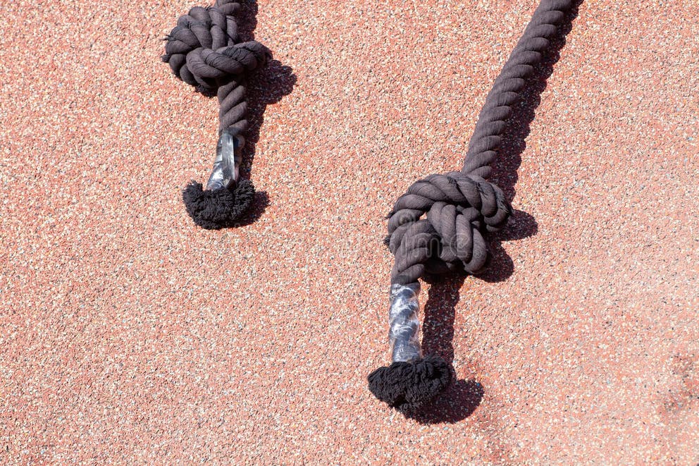 Ropes with Handles on a Climbing Structure in a Playground Under Bright ...