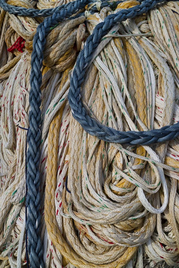 Ropes Hanging from the Ceiling in the Gym. Copy Space, Place for Text ...